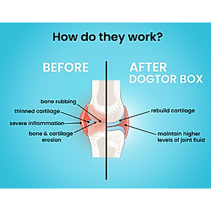 Dogtor Box Vet-Formulated All-Natural Joint Supplement for Dogs with Glucosamine, Chondroitin, MSM, Collagen - 120 Soft Chews Proudly Made in USA