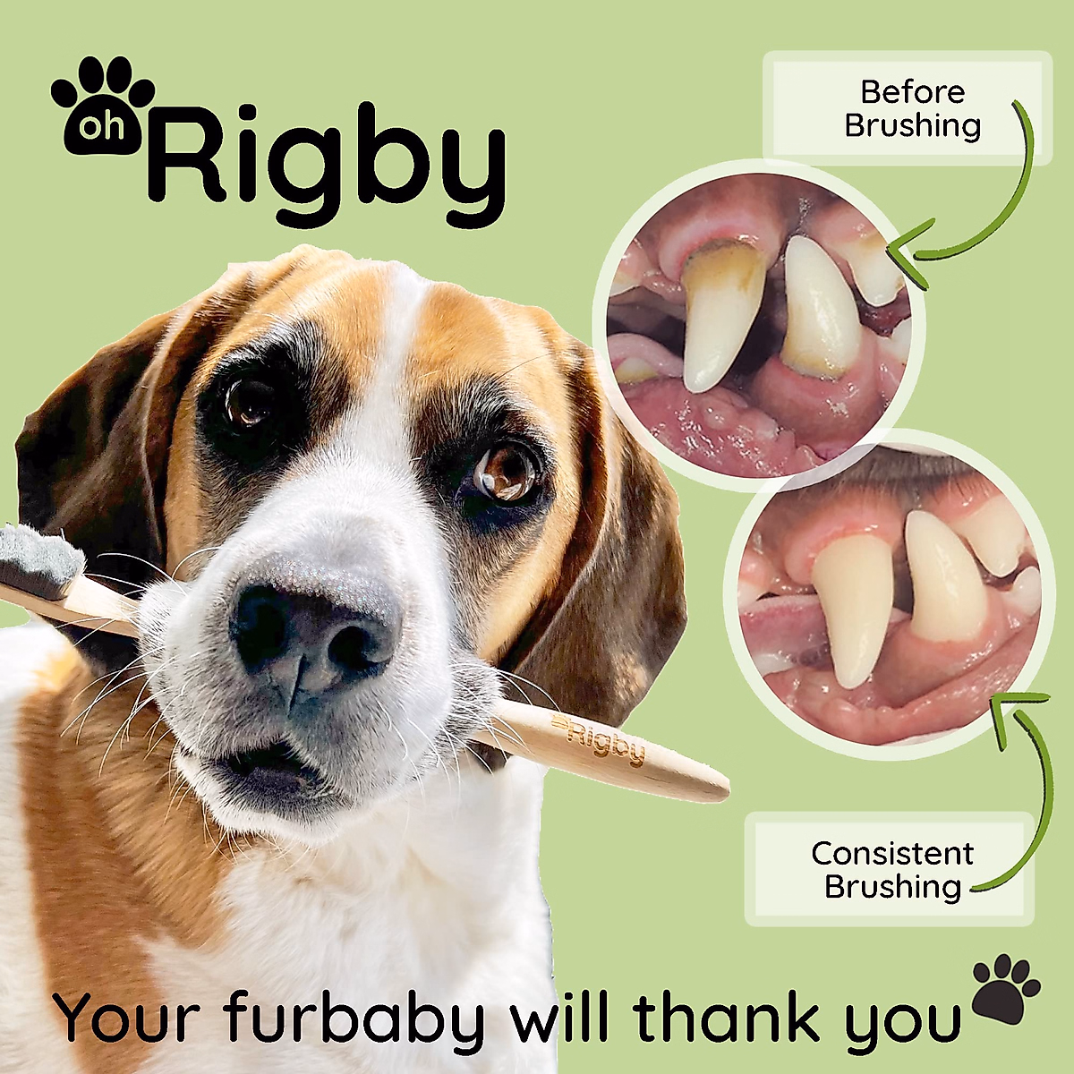 OH RIGBY Dog Toothbrush- 10,000 Ultra-Soft Bristles for Sensitive Pet Teeth & Gums- Natural Bamboo Toothbrush for Comfortable, Gentle Deep Cleaning