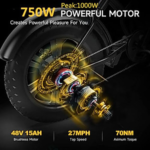 Tamobyke V20 Electric Bike 20 * 4.0 Black Fat Tire, 750W Motor /27-28mph Top Speed Ebike/Removable 48V 15Ah Lithium Battery, Dual Hydraulic Brake,Steering Light Ebike for Adults.