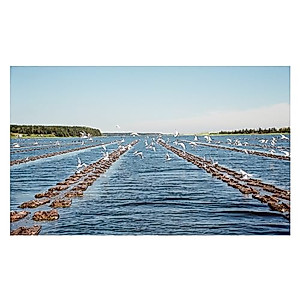 Matty Matheson: A Cookbook