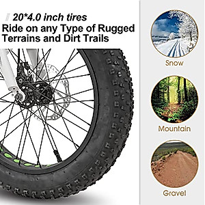 HH HILAND 20 Inch Kids' Bicycles Fat Tire Mountain Bike for Boys and Girls Age 5 + Years, 7-Speed, Dual-Disc Brake, Kids Beach and Snow Bicycle