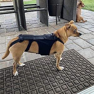 PenRux Back Bracer for IVDD in Dogs, Arthritis, Spinal Surgical Recovery, Herniated Disc, Slipped Disc, Rehabilitation, Adjustable Back Support, Dog Back Brace, Back Protector (S)