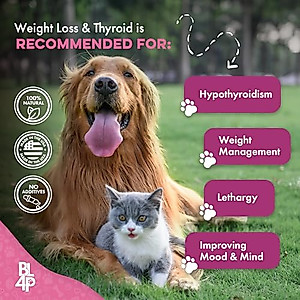 Weight & Thyroid Support for Dogs and Cats - Natural Solution for Hunger Control, Metabolism Support & Optimal Thyroid Function - Effective Dog & Cat Weight Loss - 400 Odorless, Tasteless Pills