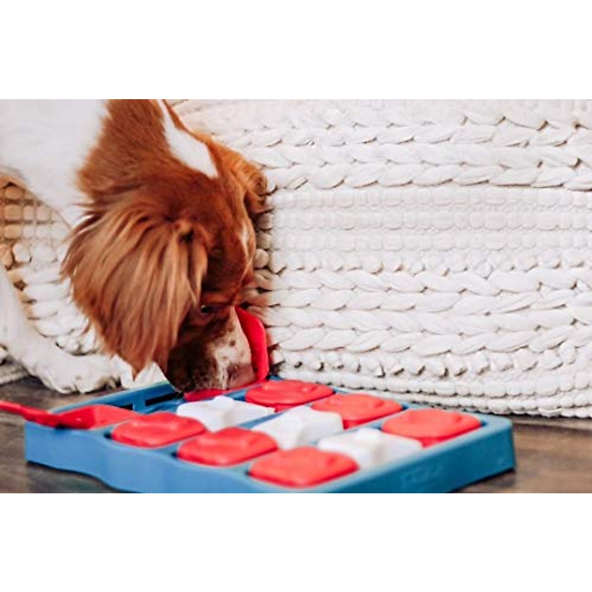 Outward Hound Nina Ottosson Dog Brick Interactive Treat Puzzle Dog Toy, Intermediate