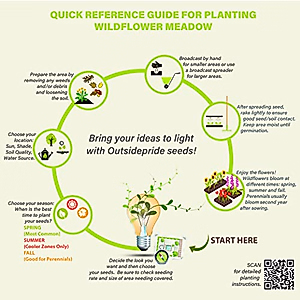 Outsidepride Delphinium Larkspur Rocket Wild Flowers - 1000 Seeds