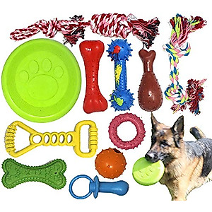 Jalousie Chew Toy Natural Rubber chew Toy for Interactive Play Toy Ball Rope Rubber Value Set for Small to Medium Breed Dog mutt Puppy