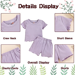 Dimoybabe Toddler Girl Clothes 2T Toddler Girl Summer Outfits Clothes Set Ruffle Ribbed Short Sleeves T-Shirt Tops Shorts Comfy Outfits (Light Purple Ruffle, 2-3T)