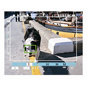 FUJIFILM FinePix X100 APS-C CMOS EXR Digital Camera with 23mm Fujinon Lens and 2.8-Inch LCD - International Version (No Warranty)