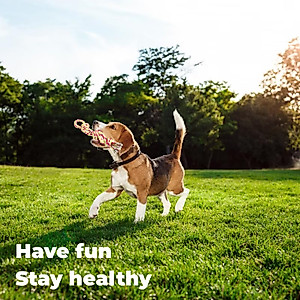 Echo Pets Dog Chew Toys Rope Toys (Blue)-Rope Toy, Benefits Non-Profit Dog Rescue, Large Dog Toys, Durable Dog Toys for Aggressive Chewers, Nearly Indestructible Dog Toys for Aggressive Chewers