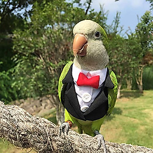 Pet Small Animals Clothes Birds Flight Suit for Parrots African Greys Parakeet Cockatiel Sun Conure, Cute School Uniform Tuxedo Business Suit for Christmas Party Birthday Pet Shows Cosplay Photo Prop