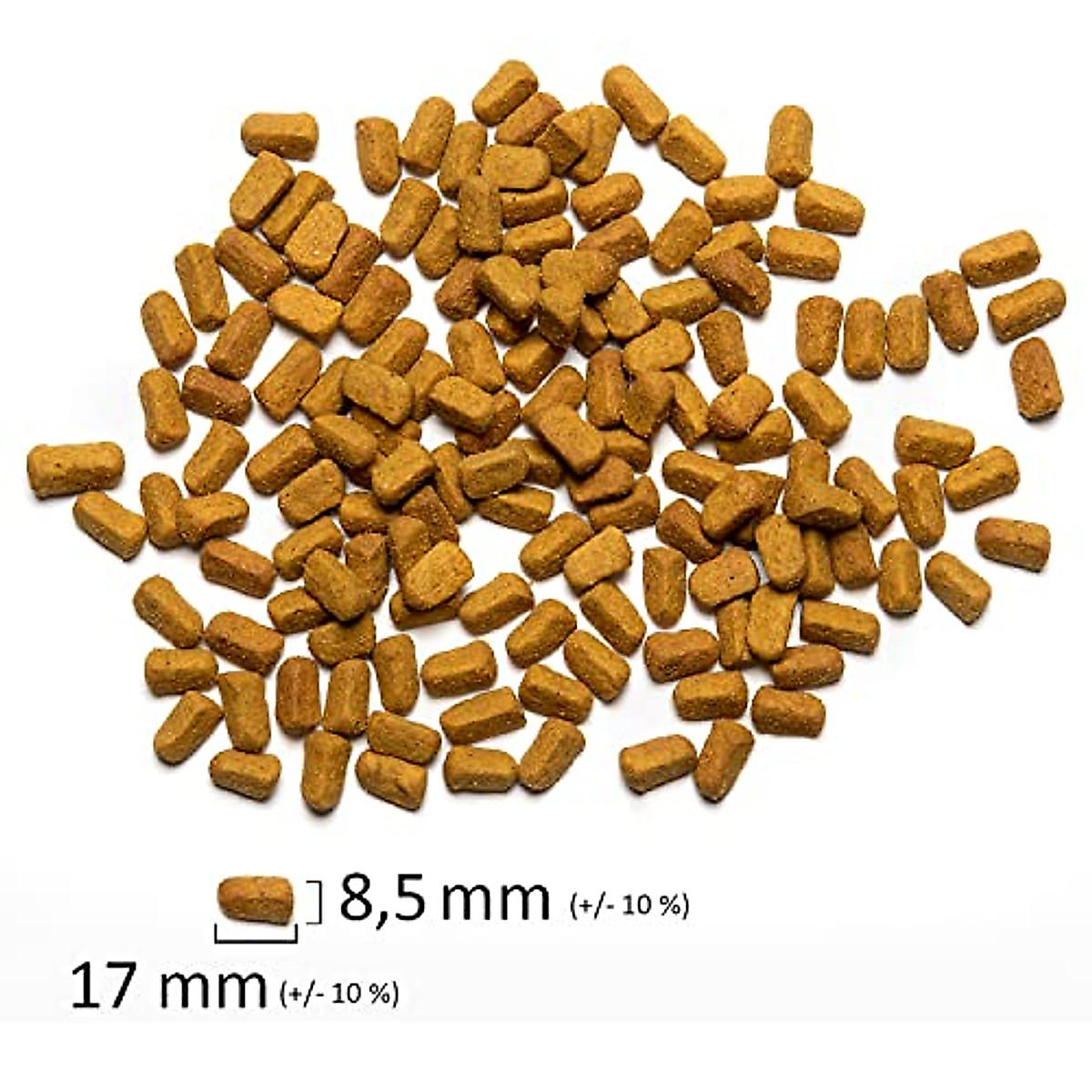 Psittacus Omega 6.6 lb | Complete Pellet Diet for African Greys, Macaws, Eclectus and Other African Parrots | Premium Food for Birds, 100% no-GMO