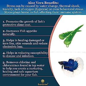 Sungrow Betta Water Starter with Aloe Vera Extract, For Aquarium & Pond, Develops Betta's Protective Slime Coat