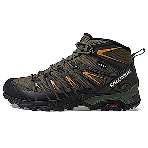 Salomon X Ultra Pioneer MID C 10