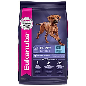 EUKANUBA™ Puppy Large Breed Dry Dog Food, 40 lb