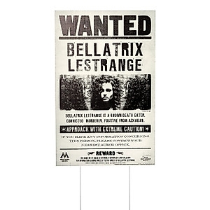 Rubie's Harry Potter Wanted Poster Signs Lawn Décor, As Shown, One Size