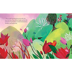 Chandra's Magic Light