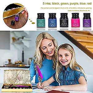 NC Quill Pen Ink Set,Feather Pen Set Includes 5 Bottles of Ink and 6 Replaceable Stainless Steel Nibs,1 Gear Quill Pen,Calligraphy Pen Set for Writing,Letter Writing,Signature Invitation,etc(Purple)