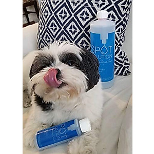 Spot Solution – Carpet & Upholstery Spot Cleaner for Stains – Odor Free - Removes Pet Stain and People Stains – Ideal Cleaning Solution for Indoor Purposes – No Soap, No Residue – (32 Oz)