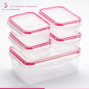 COVRESONET Airtight Food Container Set | 5 Pieces | 8oz & 34oz | Plum Red | Leakproof & Suitable For Home Food Storage