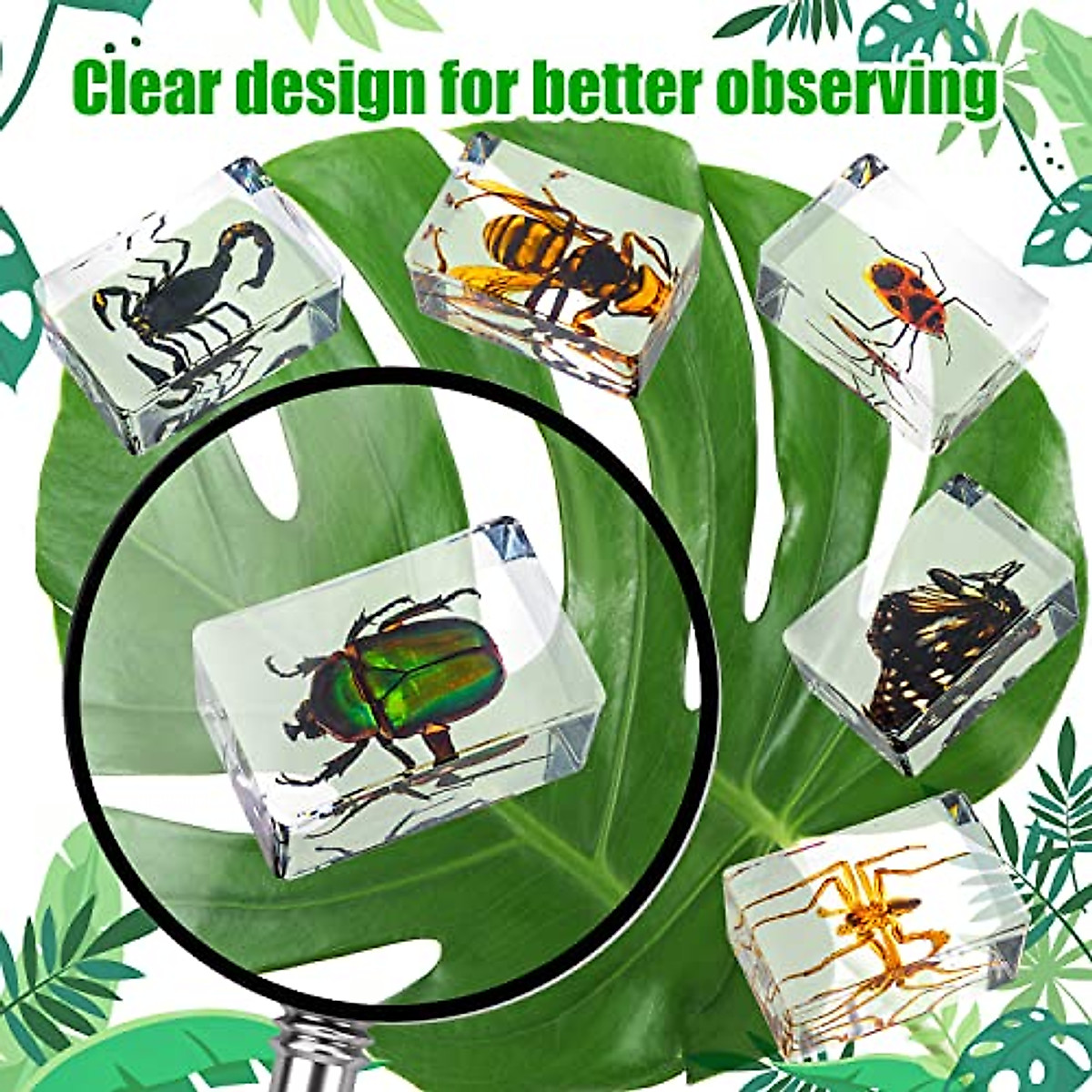 6 Styles Insect in Resin Specimen, Bugs Collection Paperweights Animal Specimen for Kids Bug Preserved in Resin for Scientific Education Office Desk Christmas Display Supplies