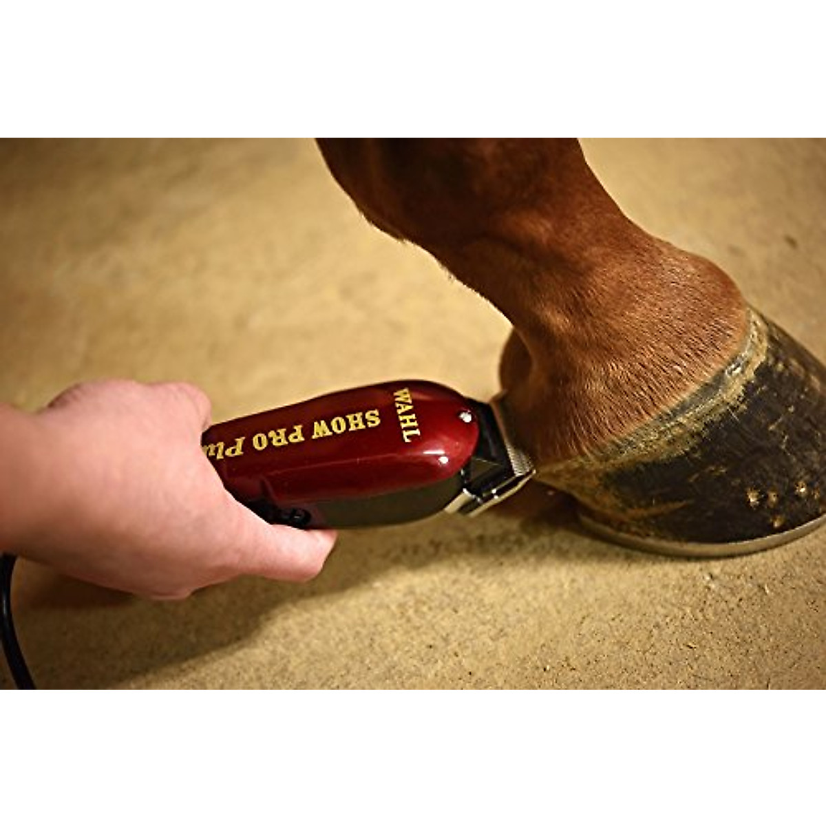 WAHL Professional Animal Show Pro Plus Equine Horse Clipper and Grooming Kit (9482-700)