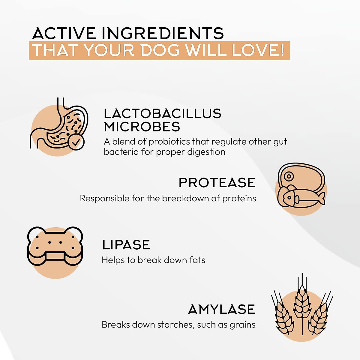 Gnawty Bites Biome Balance | Dog Probiotics for Healthy Gut Flora for Upset Stomach, Diarrhea, & Bowel Support with Digestive Enzyme & Lactobacillus (5-Strain Probiotic Blend), 120 Soft Chews