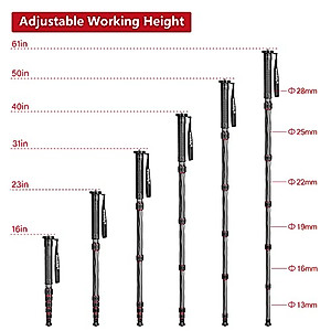 Manbily Camera Monopod Carbon Fiber Portable Compact Lightweight Travel Monopod with Carrying Bag Walking Stick Handle,for DSLR Canon Nikon Sony Video Camcorder,6 Sections up to 61-in (C-555L)