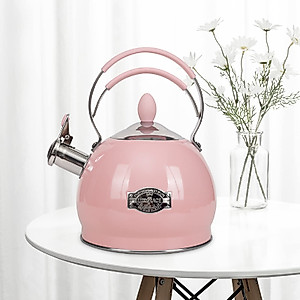 Whistling Tea Kettle Stainless Steel Teapot, Teakettle for Stovetop Induction Stove Top, Fast Boiling Heat Water Tea Pot 2.6 Quart