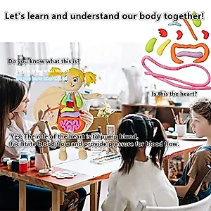 weilishun Human Body Anatomy Toy for Kids -Soft Plush Anatomy Doll, DIY Human Body Model Awareness Teaching Tools & Preschool Science Learning Toy(Pink)