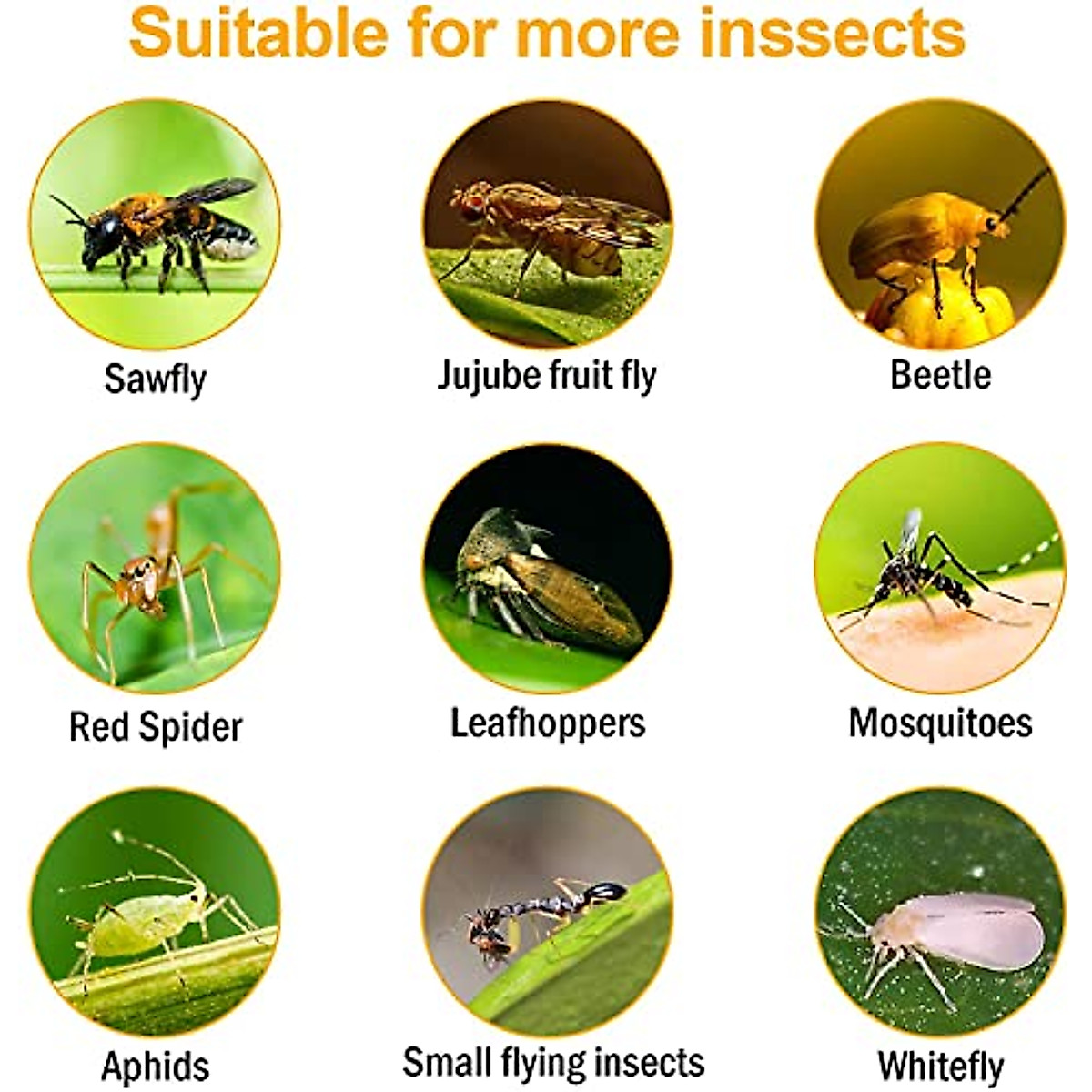 Dwcom 20 Packs Fly Tape, Fly Strips, Fly Paper Strips Roll Ribbon, Sticky Fruit Fly Traps Hanging Catcher Gnat Fungus Trap Killer for Indoors Outdoors