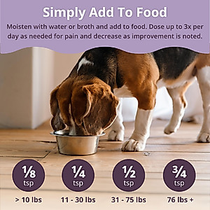 Glacier Peak Holistics HerbAprin - Natural Pain Relief for Dogs, Organic Herb Blend for Arthritis, Aches & Pains, and Hip & Joint Discomfort - 3oz