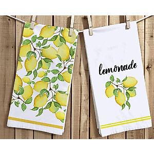 Watercolor Lemon Kitchen Dish Towel 18 x 28 Inch, Seasonal Spring Summer Lemonade Tea Towels Dish Cloth for Cooking Baking Set of 2
