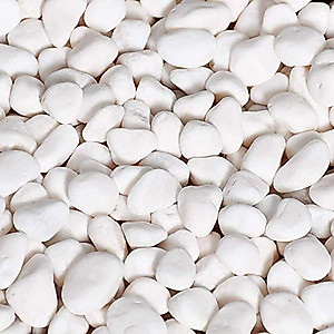 WUWEOT 6-lb White Decorative Bean Pebbles, 0.2" Natural Gravel Rocks for Plants, Succulents, Vases, Aquariums and Terrariums