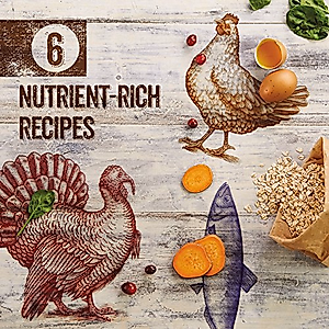 Purina Beyond Natural Wholesome Ingredients for Whole Health Dry Cat Food Salmon and Whole Brown Rice Recipe - 6 lb. Bag