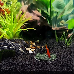 Dannisly Aquarium Glass Feeder Dish Shrimp Feeding Dish Round Clear Glass Fish Feeder Bowl Fish Tank Food Tray Container Prevent Food Spilling, 60mm