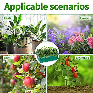 15 Packs Seed Starter Tray Kit, 180 Cells Total Tray, Seedling Starting Trays with Humidity Dome, Base Mini Greenhouse Kit for Seeds Growing Starting