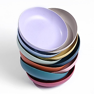 WANBY Plastic Plates 10 Pcs Lightweight 5.6" Plastic Plates Unbreakable Dinner Dishes Plates Set Dishwasher & Microwave Safe