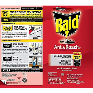 Raid Ant and Roach Killer 17.5 Ounce (Pack of 4)