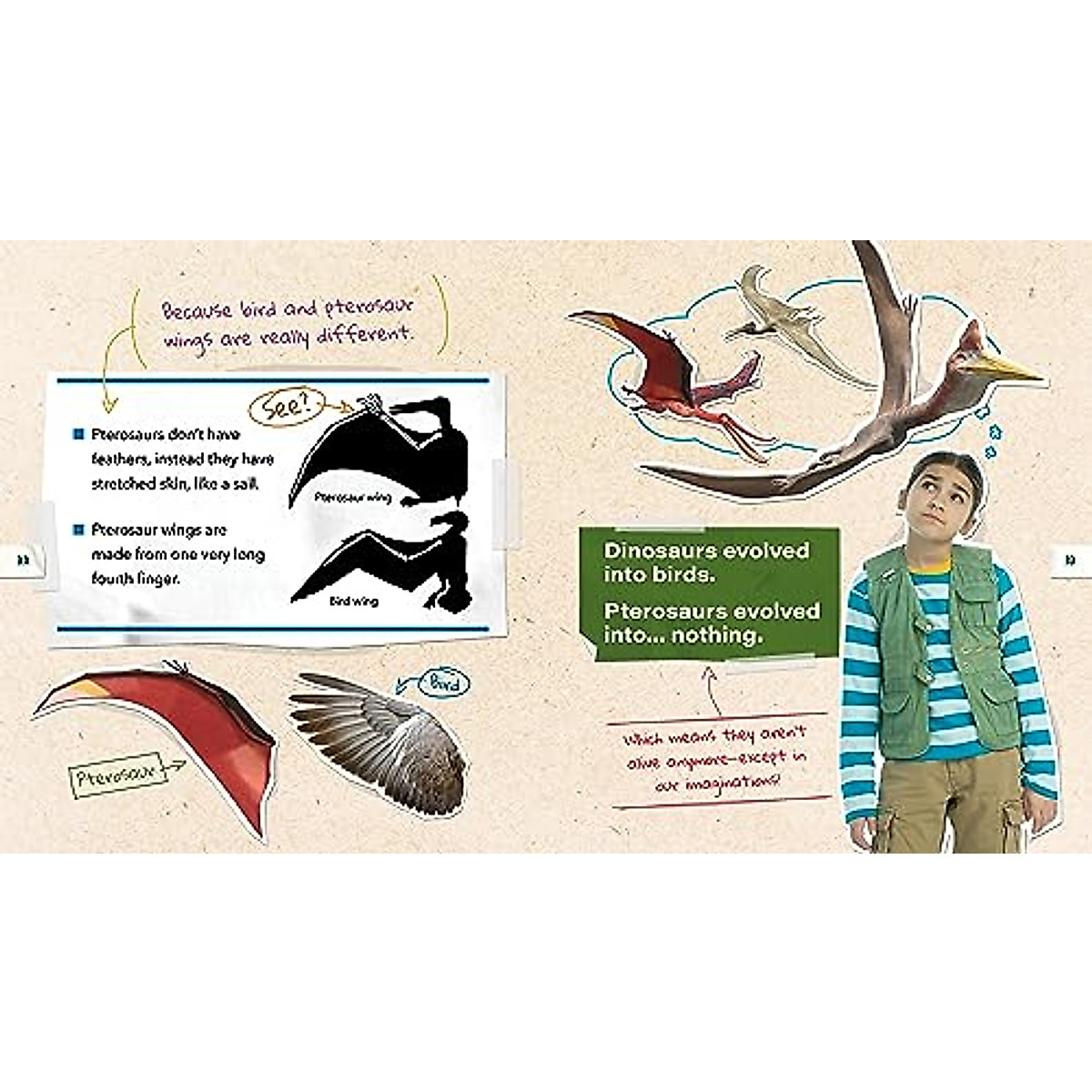 Dino Dana: Dino Field Guide: Pterosaurs and Other Prehistoric Creatures! (Dinosaurs for Kids, Science Book for Kids, Fossils, Prehistoric)