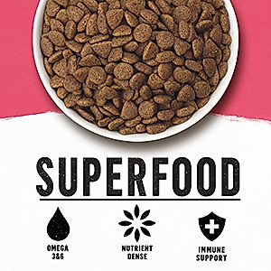 Purina Beyond Natural Dry Dog Food, Superfood Blend Salmon, Egg & Pumpkin Recipe - 3.7 lb. Bag