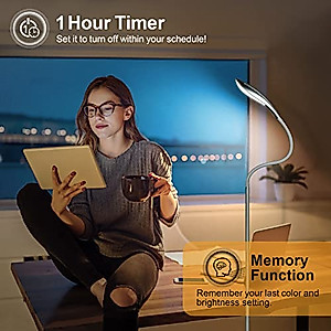OUTON LED Floor Lamp, 12W 1080LM, Dimmable Adjustable Gooseneck Standing Lamp with 4 Color Temperature, Remote & Touch Control, 1H Timer, Memory Function for Reading Living Room Bedroom Office (Gray)