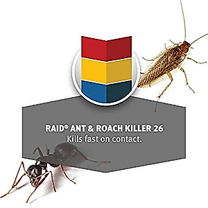 Raid Ant and Roach Killer Outdoor Fresh, 17.5 OZ (pack of 3)