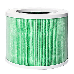 H13 True HEPA Filter