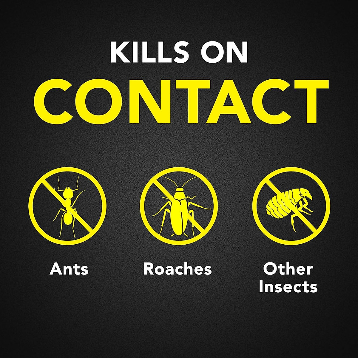 Raid Ant and Roach Killer, Lemon Scent, 17.5 OZ (Pack of 12)