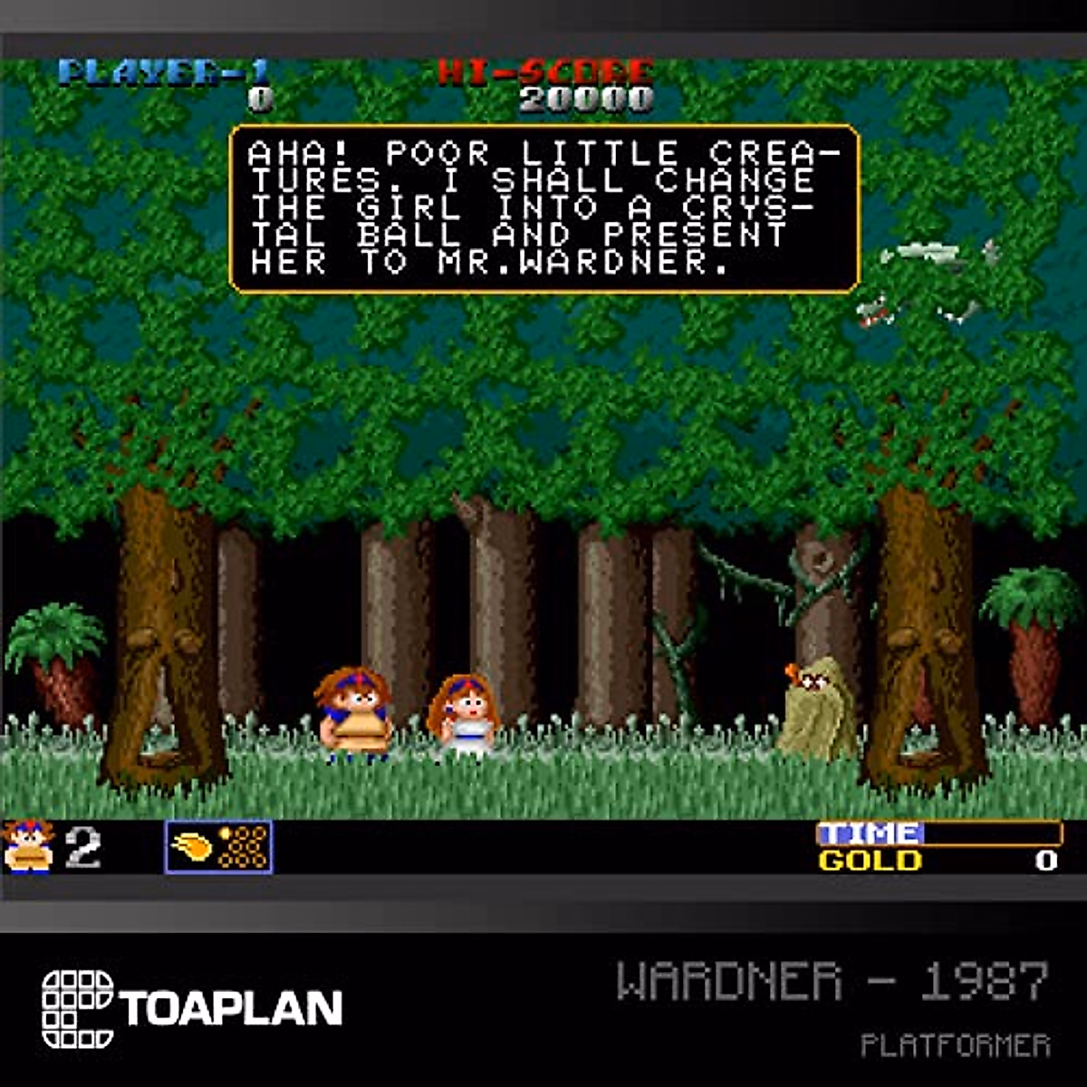 Evercade Toaplan Arcade Cartridge 2