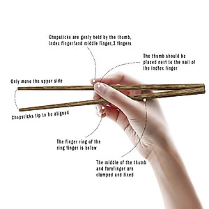 DigitiZerArt 10-Pairs Wooden Chopsticks, Dishwasher Safe Chopstick,ReusableNatural Healthy, Chinese Classic Style for Kitchen, Dining Room, Gourmet, Noodles (9.8 Inch)