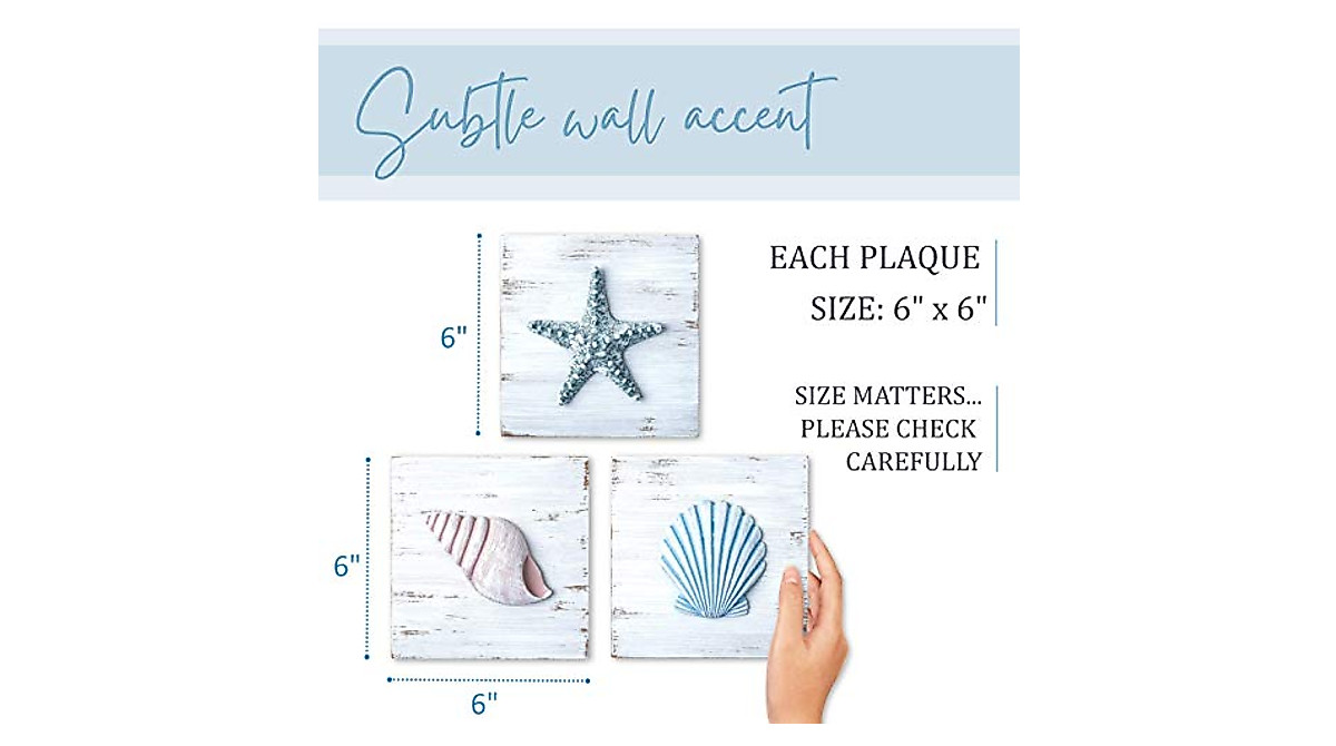 Tide and Tales 3D Seashell Wall Art - Coastal Decor Set of 3