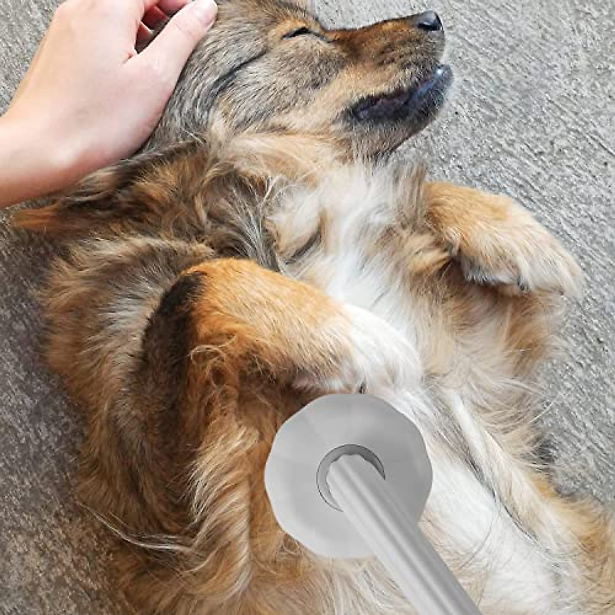 Petvera Cat Grooming Brush for Middle Long Hair Shedding, Pet One Button Self Cleaning Brush, Dog Fur Slicker Brush, Pet Massager for Tangled Fluffy Hair and Loose Fur