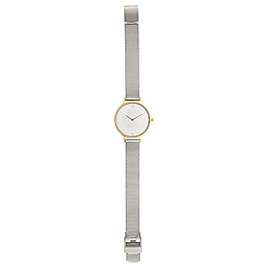 Skagen Women's Anita Lille Three-Hand Silver and Gold Two-Tone Stainless Steel Mesh Band Watch (Model: SKW2340)