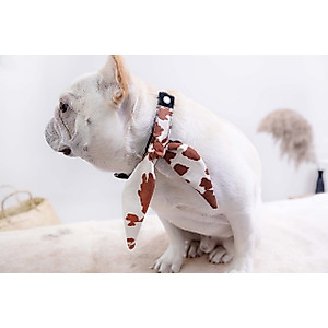 BOW Teddy Long - Modular Dog Collar
